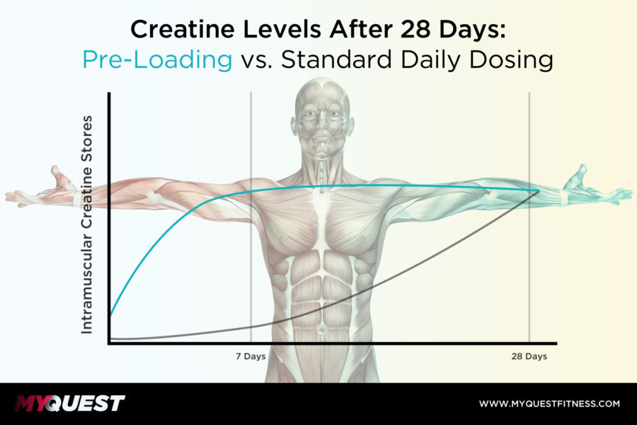 The Only Two Supplements Worth Your Money - MyQuest Health & Fitness